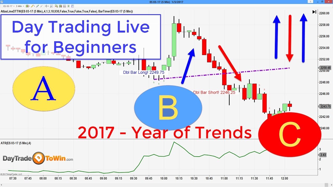 Back to Basics Trading - Learn How to Trade Stocks Software